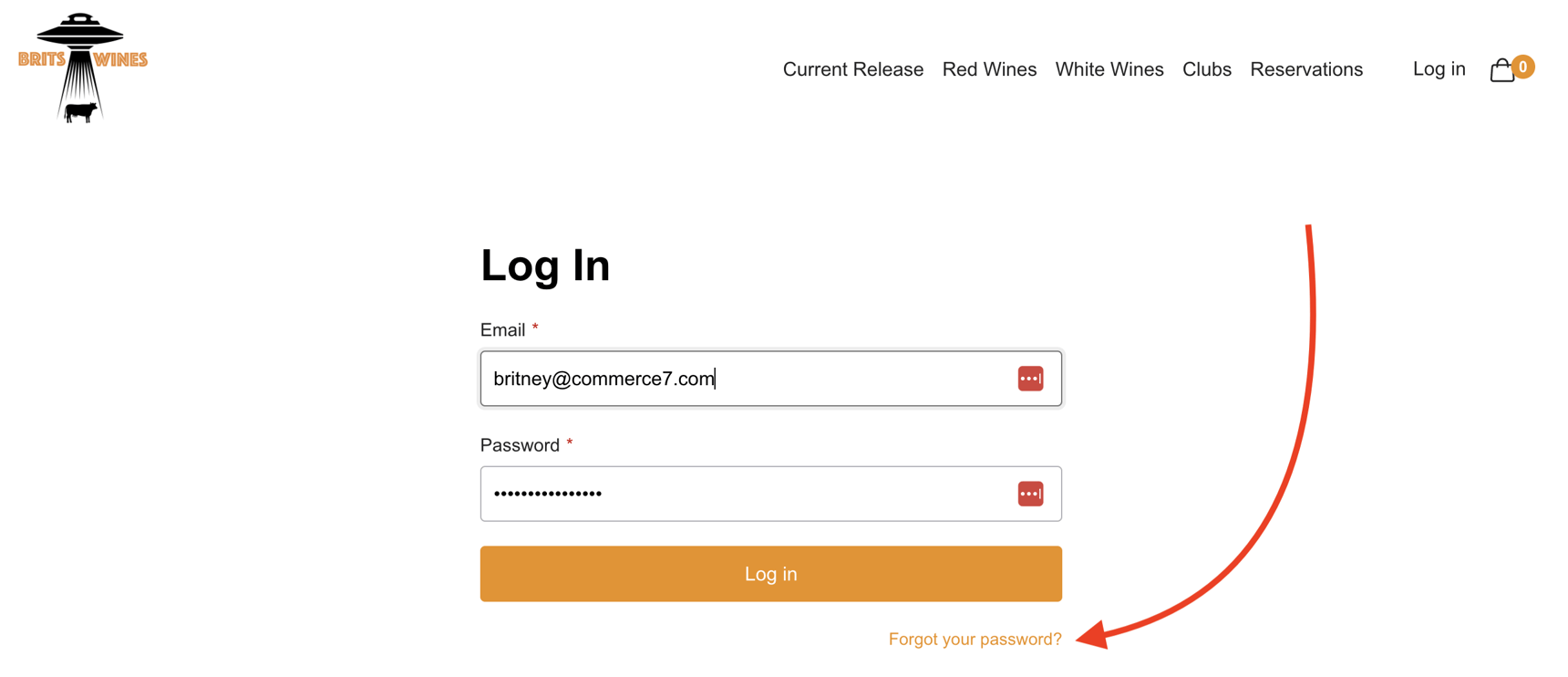 Creating Website Logins for your Customers